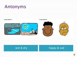 Synonyms & Antonyms, A Grammar Mini-Lesson | PPTX
