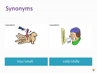 Synonyms & Antonyms, A Grammar Mini-Lesson | PPTX