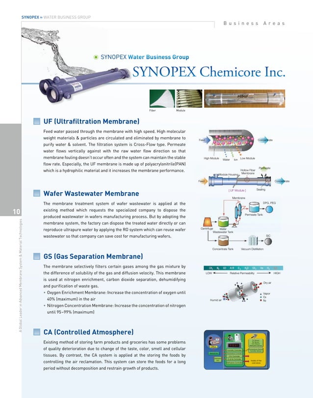 Synopex brochure | PDF