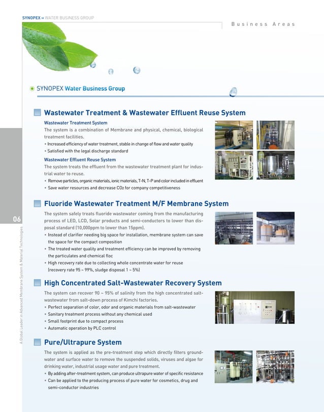 Synopex brochure | PDF