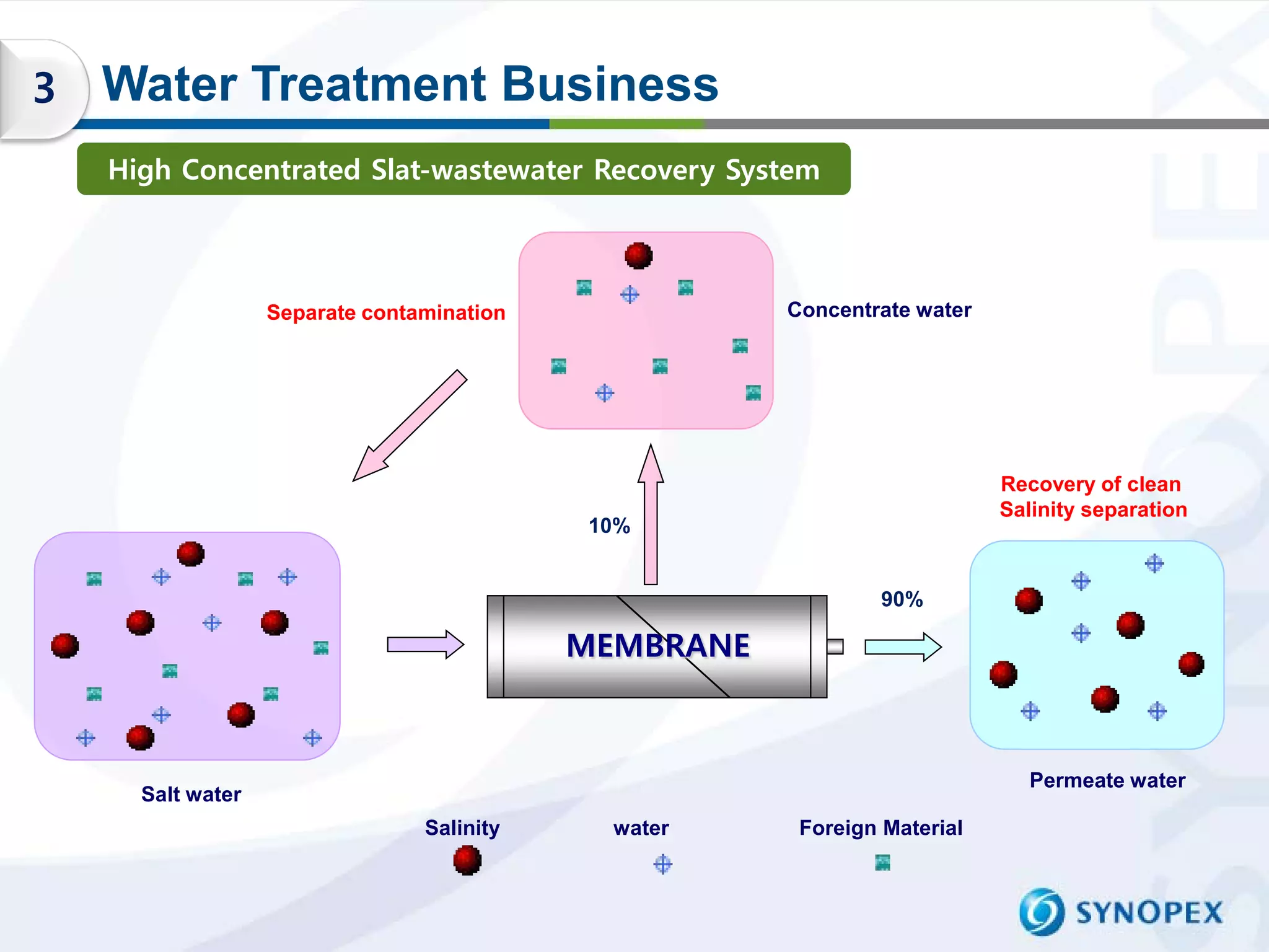 Synopex Company Introduction | PDF