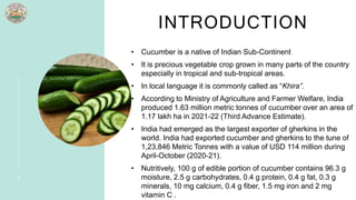 Synoposis Presentation. regarding cucumberpptx | PPT
