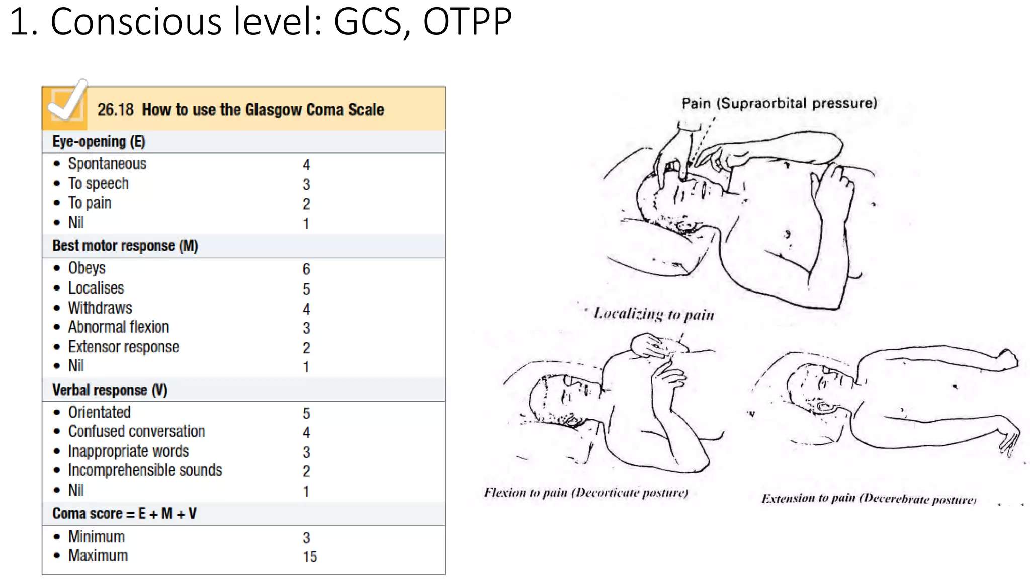 neurological examination by Suleiman Suleiman | PDF
