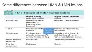 neurological examination by Suleiman Suleiman | PDF | Brain and Nervous ...