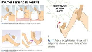 neurological examination by Suleiman Suleiman | PDF | Brain and Nervous ...