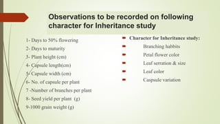 inheritance study genetic study of crop plant | PPT