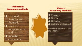 SYNOPSIS PRESENTATION NEW EDITED.pptx