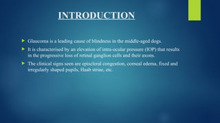 SYNOPSIS TOPIC: CLINICAL STUDY OF GLAUCOMA IN DOGS..pptx