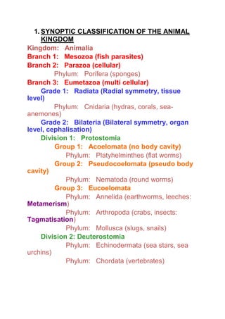 Synoptic classification of the animal kingdom | DOCX
