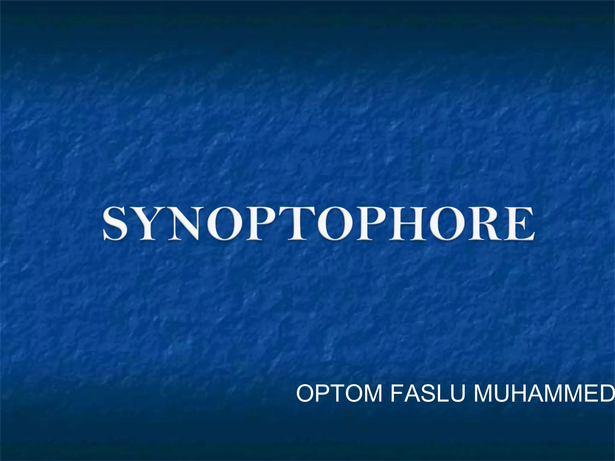 Synoptophore 2 | PPT