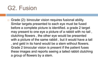 Synoptophore | Major amblyoscope | PPT
