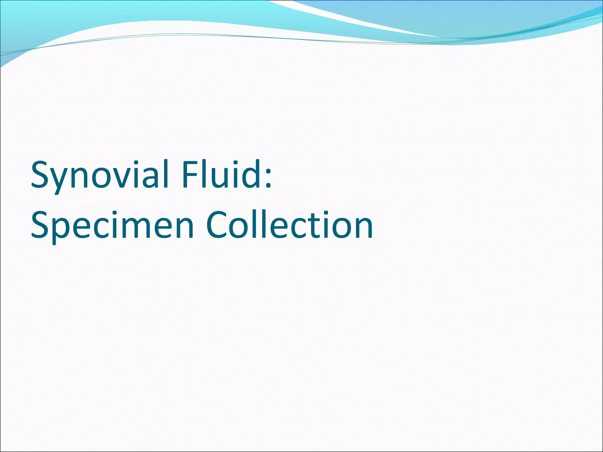 Synovial | PPT