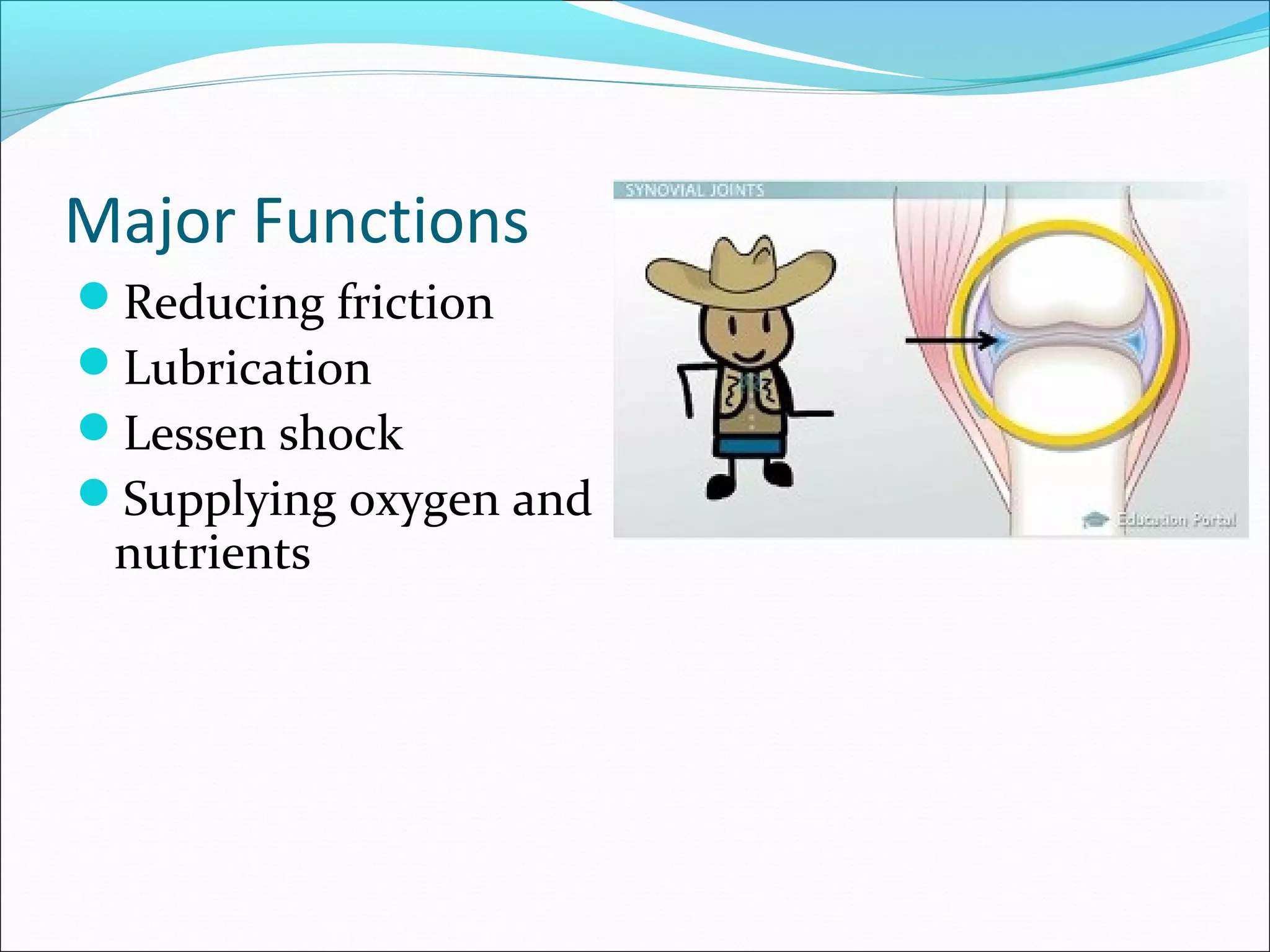 Synovial | PPT