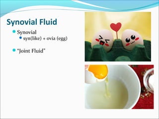 Synovial | PPT