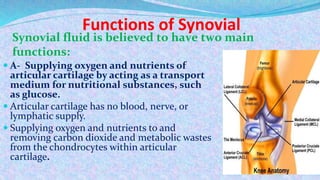 SYNOVIA FLUIDS.pptx