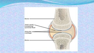 SYNOVIA FLUIDS.pptx | Bone and Joint Conditions | Diseases and Conditions