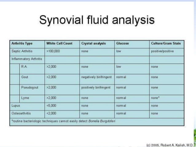 Synovial fluid