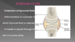 Synovial fluid | PPTX