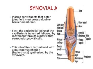 Synovial Fluid Composition a short lecture | PPT