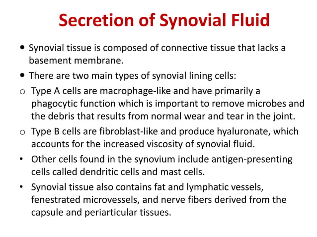 Synovial Fluid Composition a short lecture | PPT
