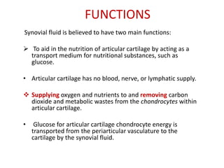 Synovial Fluid Composition a short lecture | PPT