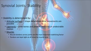 Synovial joint .ppt