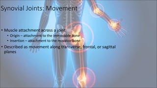 Synovial joint .ppt