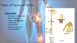 Synovial joint .ppt
