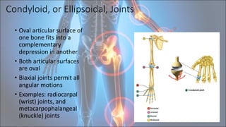 Synovial joint .ppt