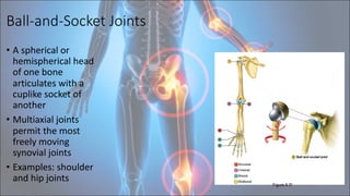 Synovial joint .ppt