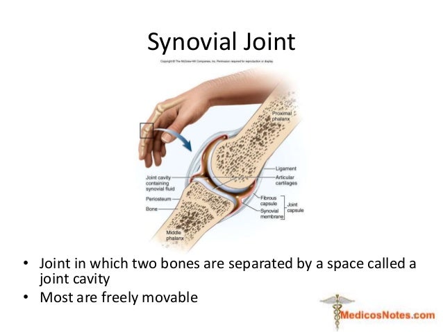 Synovial joint medicos notes.com ( Form MBBS students )
