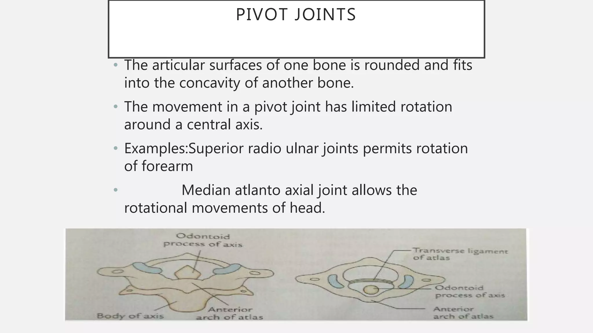Classifiction ofSynovial joints | PPTX