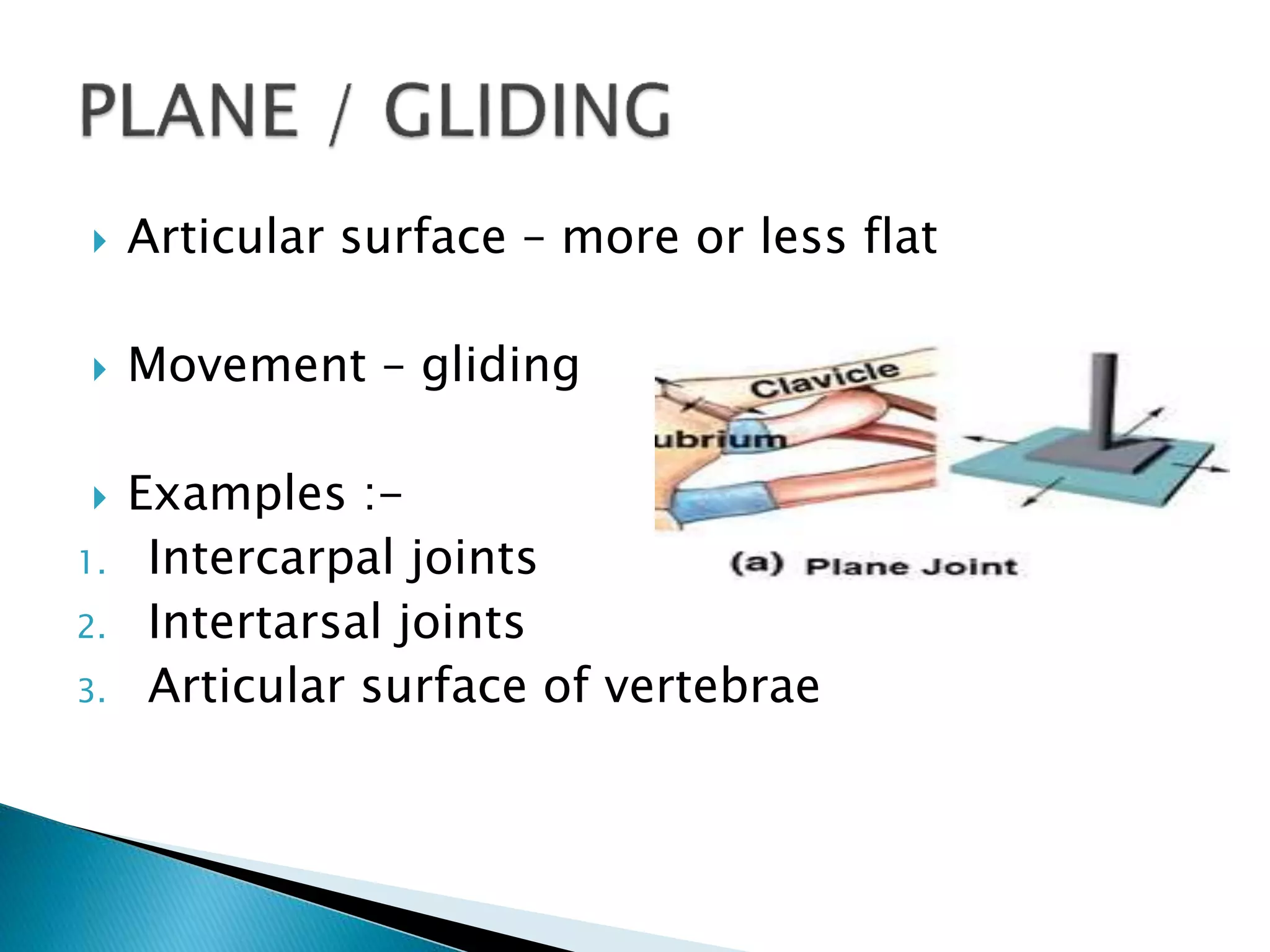 Synovial joint | PPTX