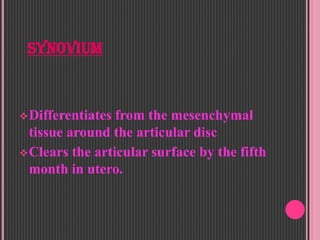 Synovium & crystal synovitis | PPTX