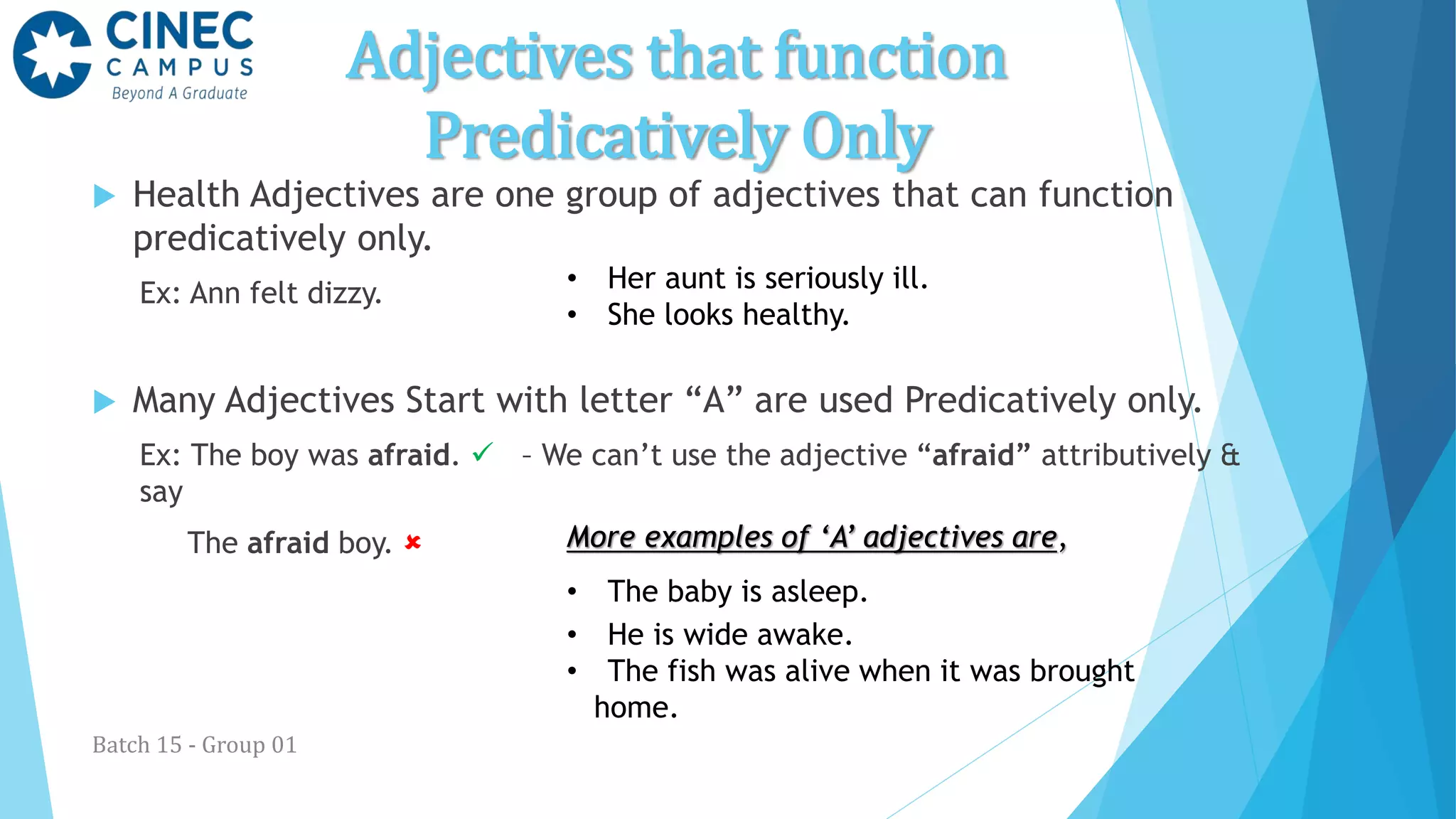 Syntactic Sub-Classification of Adjectives (Linguistics Presentation).pptx