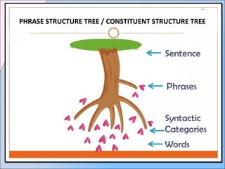 Syntax (Phrases and Clauses) | PPT