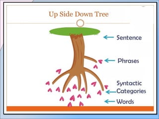 Syntax (Phrases and Clauses) | PPT