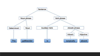An Comprehensive introduction to the Syntax.pptx