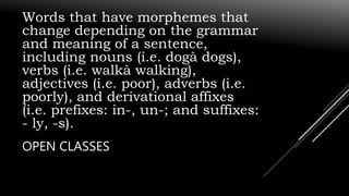 Syntax and morphology | PPTX