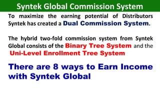 Syntek Global Compensation Plan - SENTHIL 09886656057 | PPT
