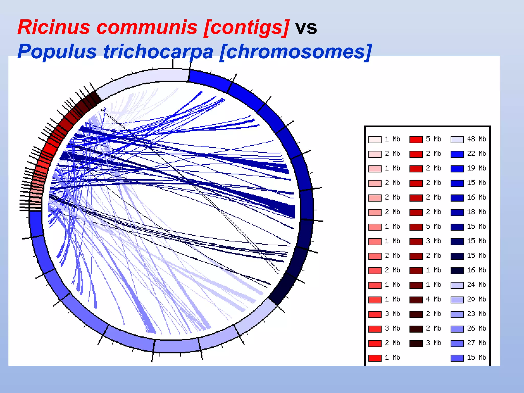 Synteny a million year old euphoria of euphorbiaceae | PPT | Genetics ...