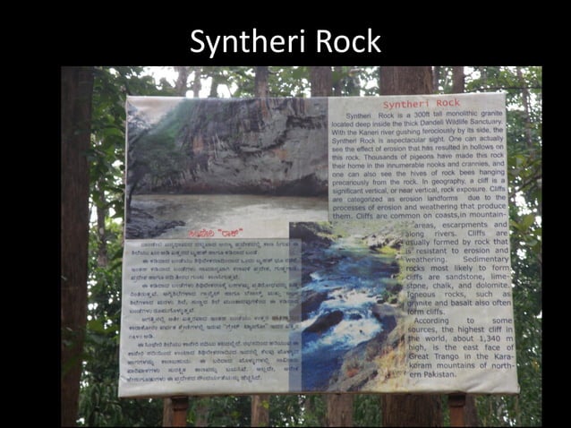 Syntheri rocks, dandeli | PDF