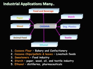 Synthesis of Expanding Cassava Production and Commercialization Session | PDF