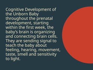 Synthesis-of-Physical-Cognitive-and-Socio-Emotional-Development-of ...