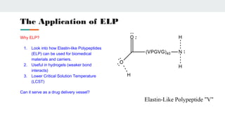 Synthesis and Characterization of Elastin-Like Polypeptides | PPT