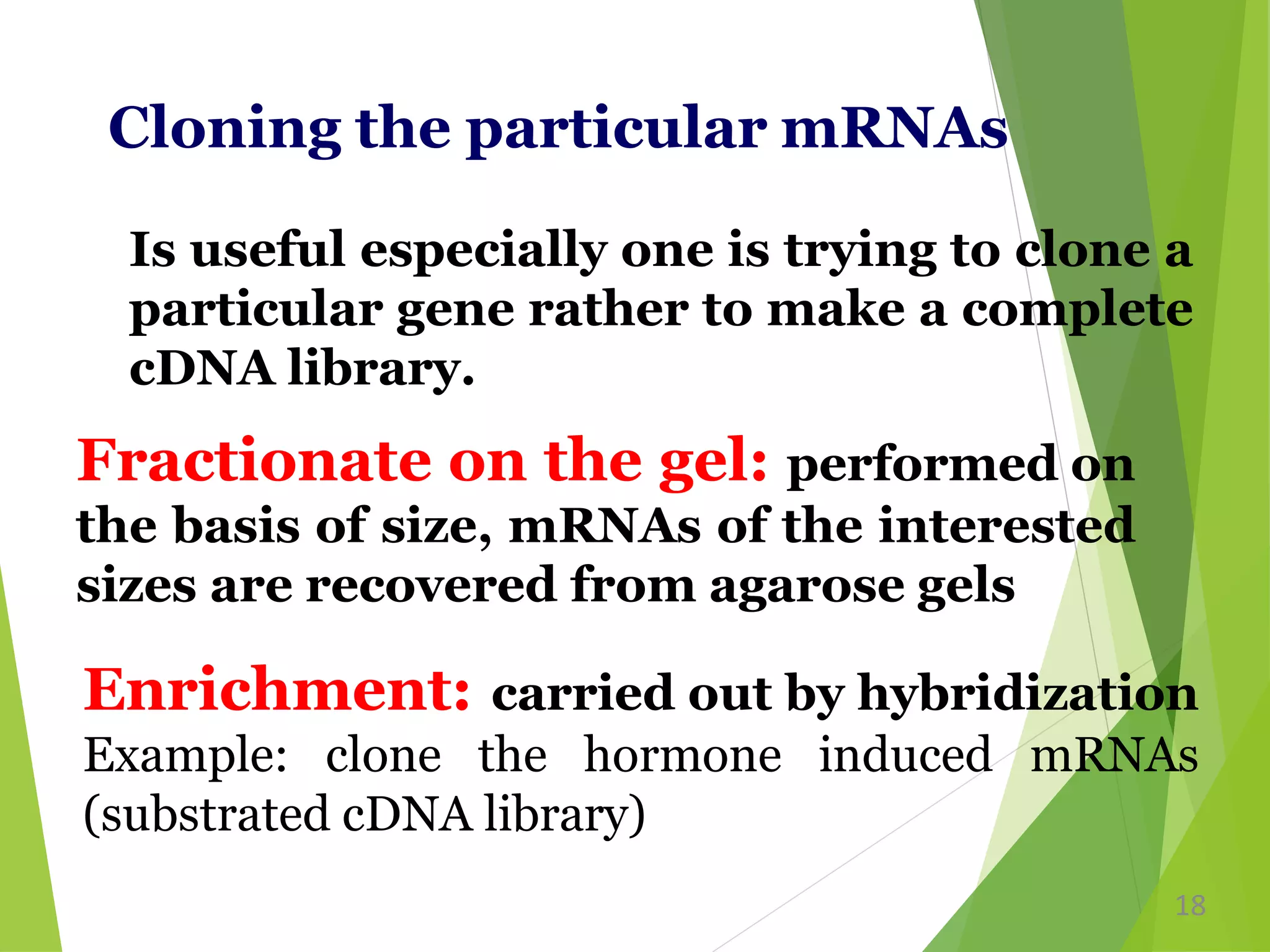 Synthesis and cloning of c dna | PPTX