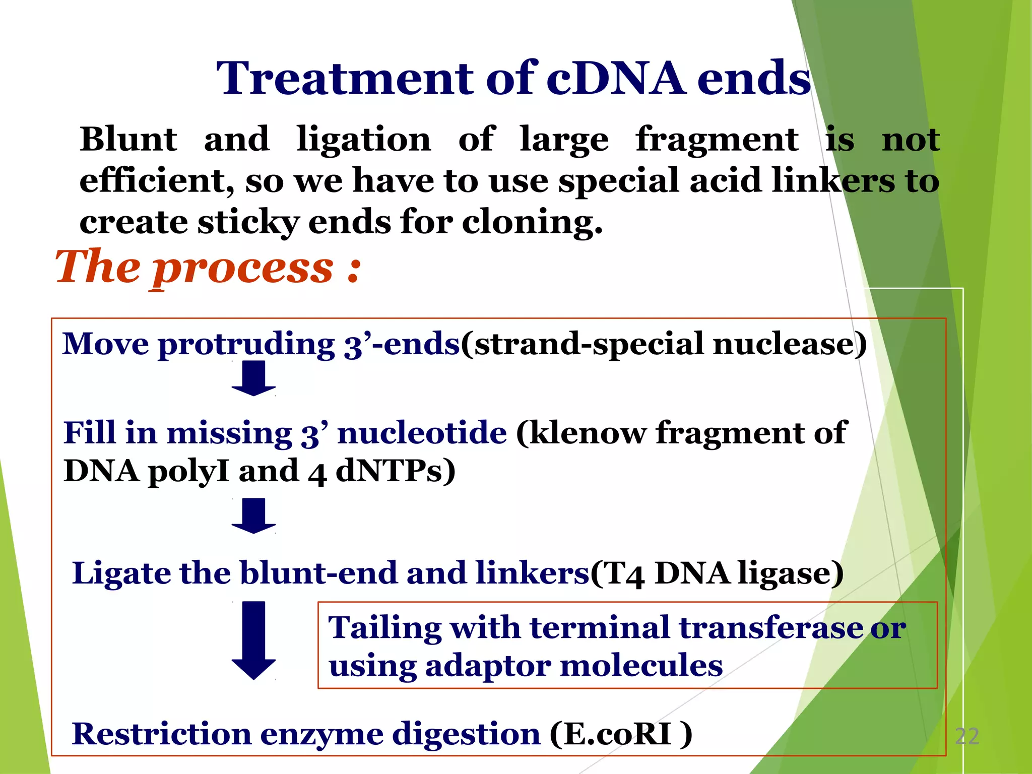 Synthesis and cloning of c dna | PPTX