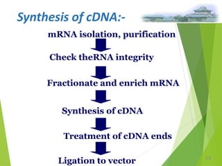 Synthesis and cloning of c dna | PPTX