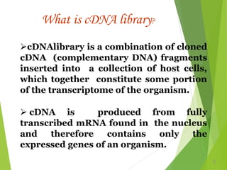 Synthesis and cloning of c dna | PPTX