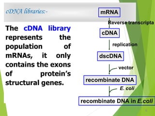 Synthesis and cloning of c dna | PPTX